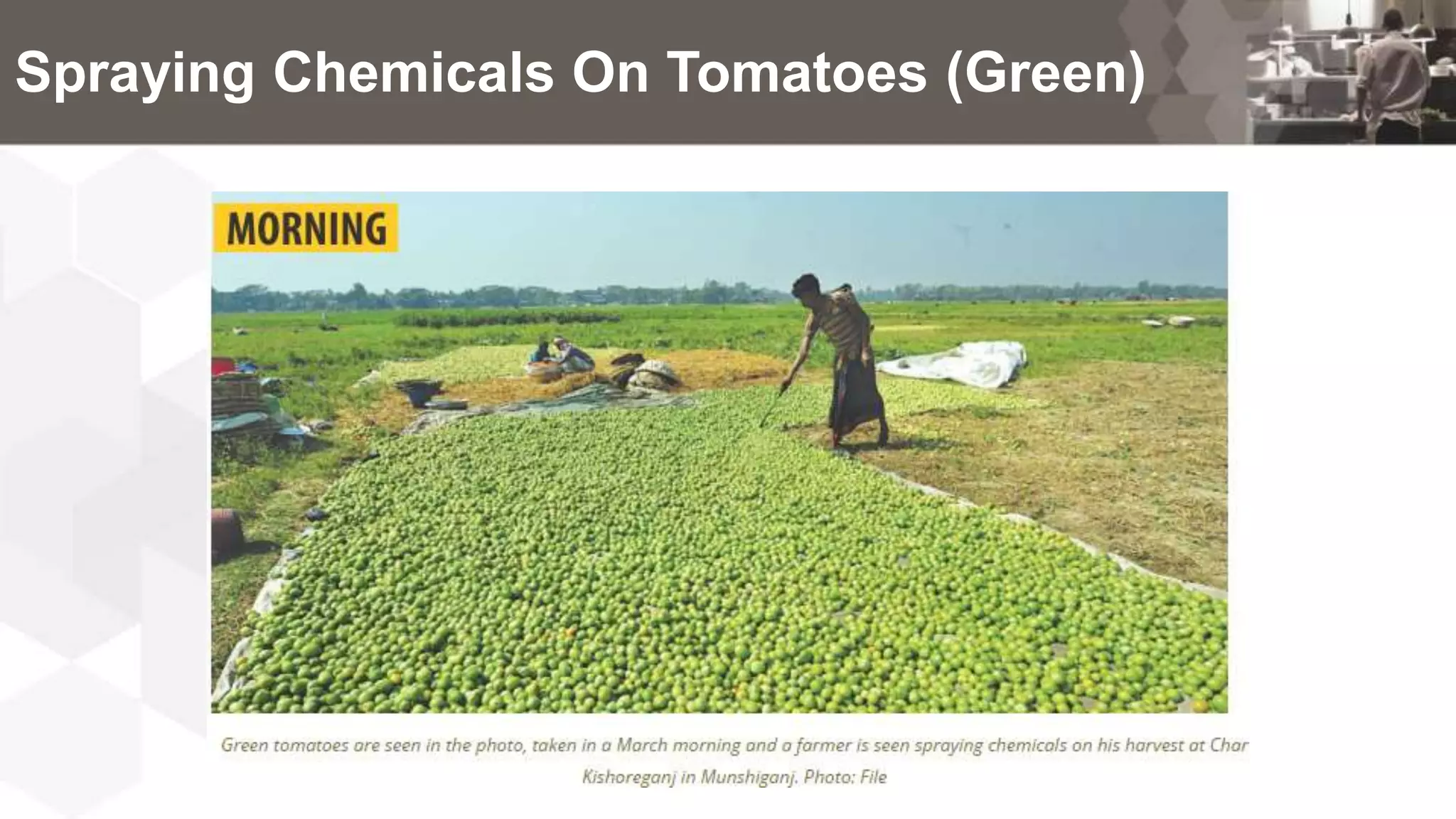 Fertilizer and Ripening Agents - Bangladesh | PPT