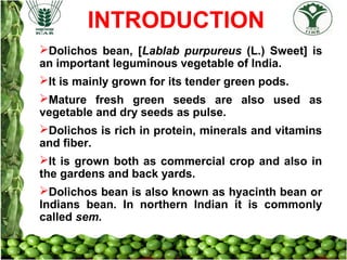 Dolichos seed production | PPT