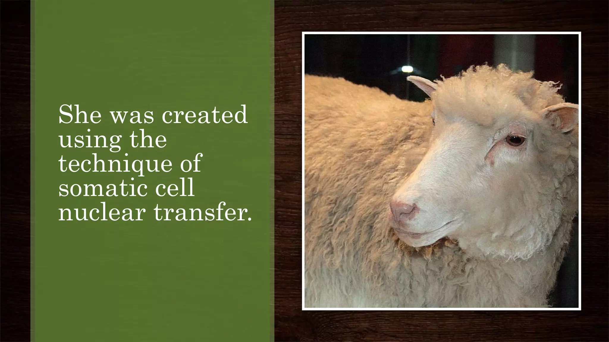 Why Dolly Sheep was Cloned? | PPTX