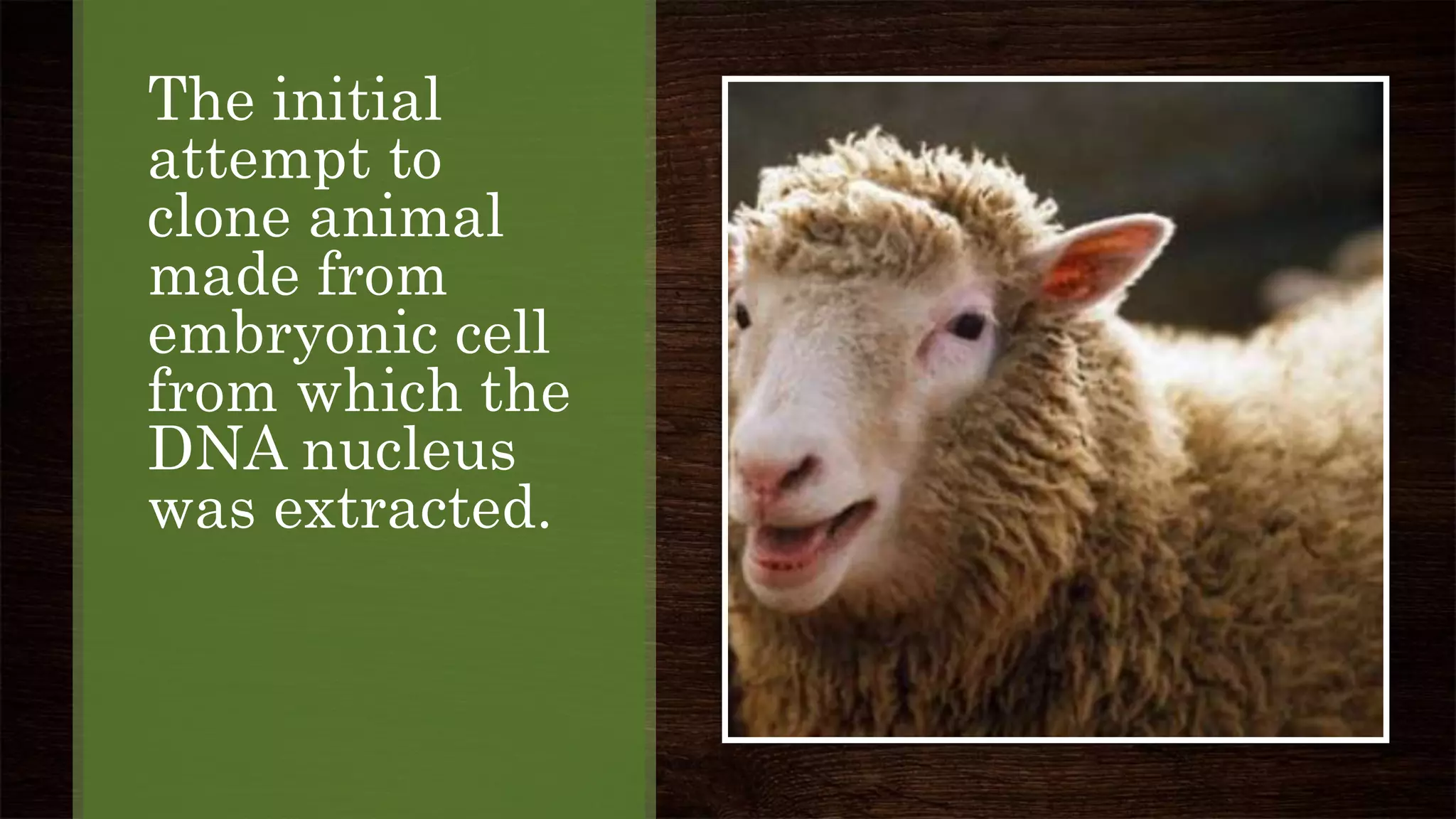 Why Dolly Sheep was Cloned? | PPTX