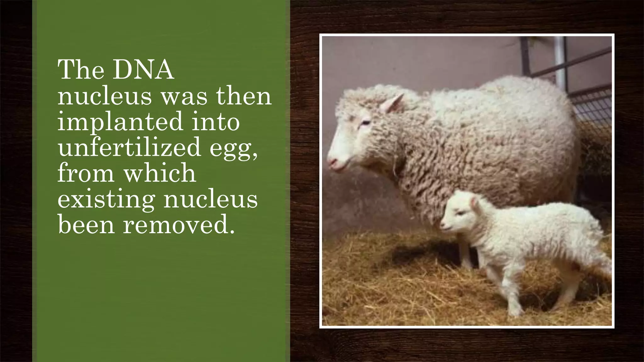 Why Dolly Sheep was Cloned? | PPTX