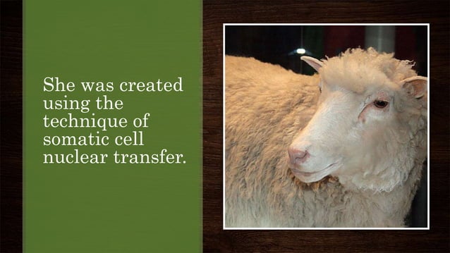 Why Dolly Sheep was Cloned? | PPT