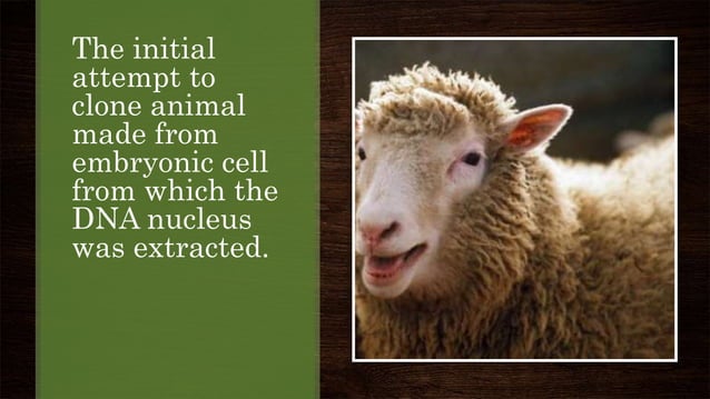 Why Dolly Sheep was Cloned? | PPT