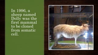 Why Dolly Sheep was Cloned? | PPTX