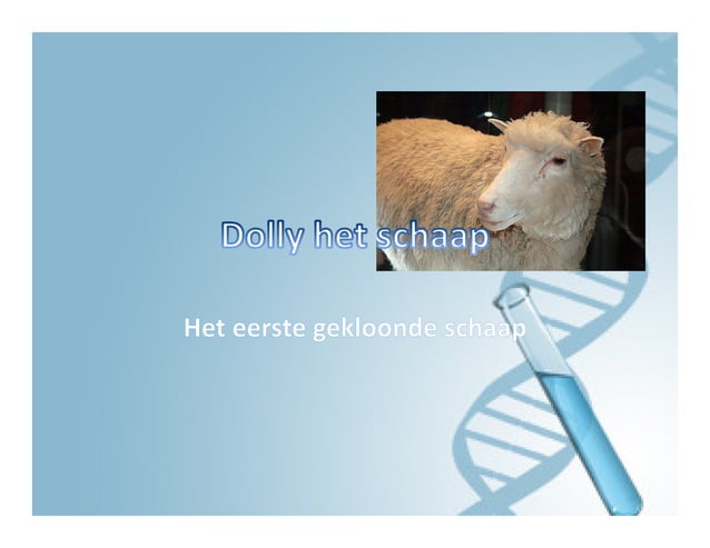 Dolly het schaap | PDF