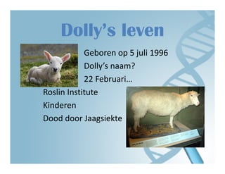 Dolly het schaap | PDF