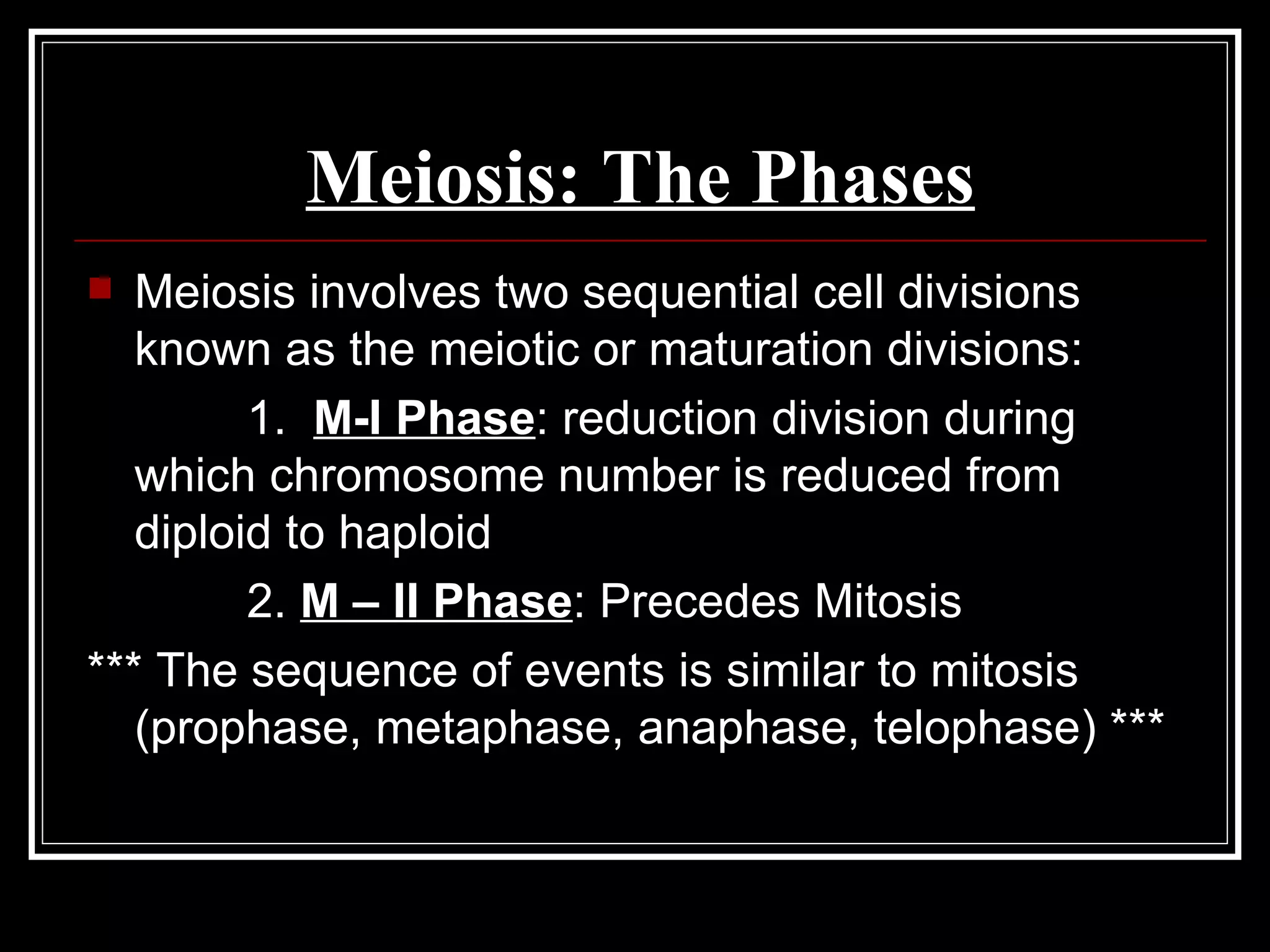 A&P lab 1 lecture 5 meiosis | PPT
