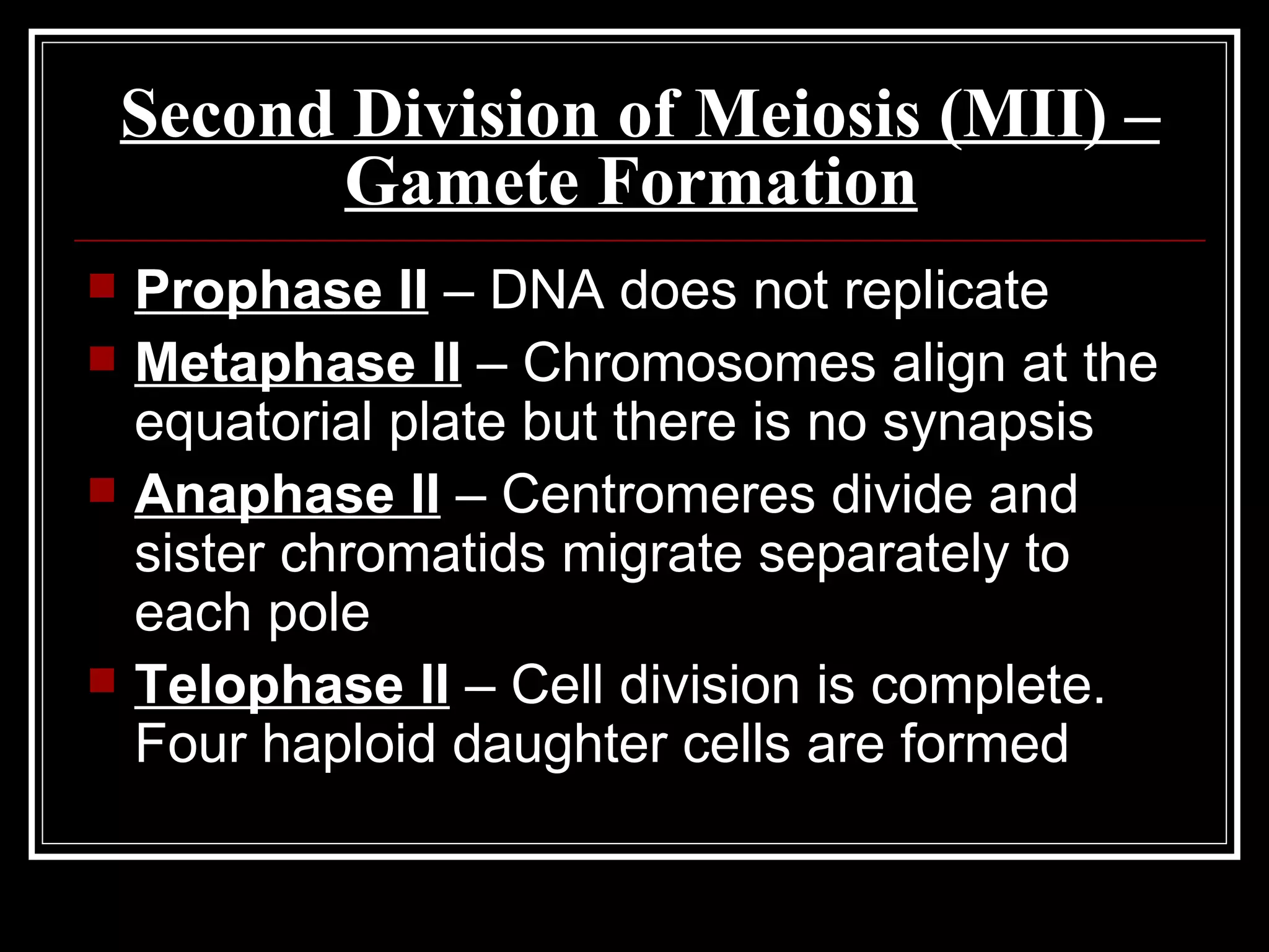 A&P lab 1 lecture 5 meiosis | PPT