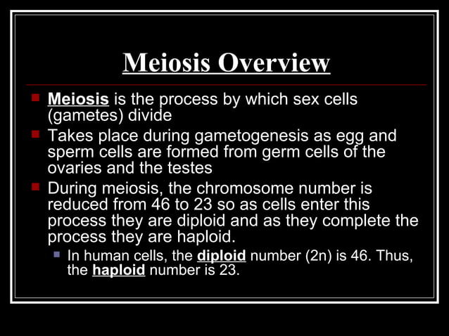 A&P lab 1 lecture 5 meiosis | PPT