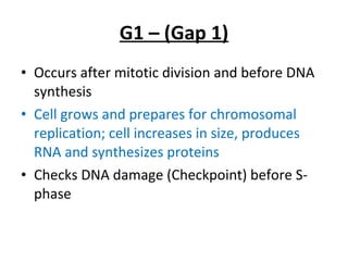 A&P Lab 1 midterm review | PPT