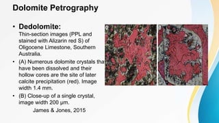Dolomite petrography in carbonate sedimentary | PPTX