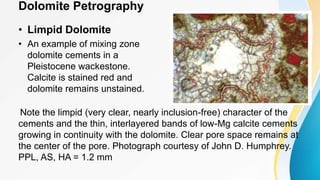 Dolomite petrography in carbonate sedimentary | PPTX