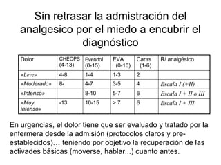 Dolor | PDF