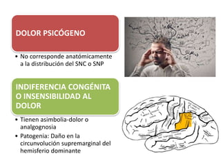 Semiologia del Dolor | PPTX