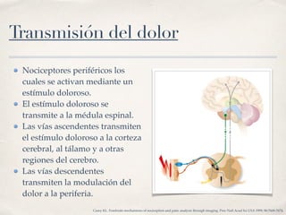 Dolor | PDF