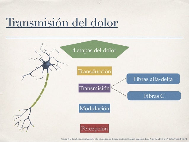 Dolor