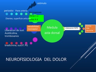 Dolor | PPTX