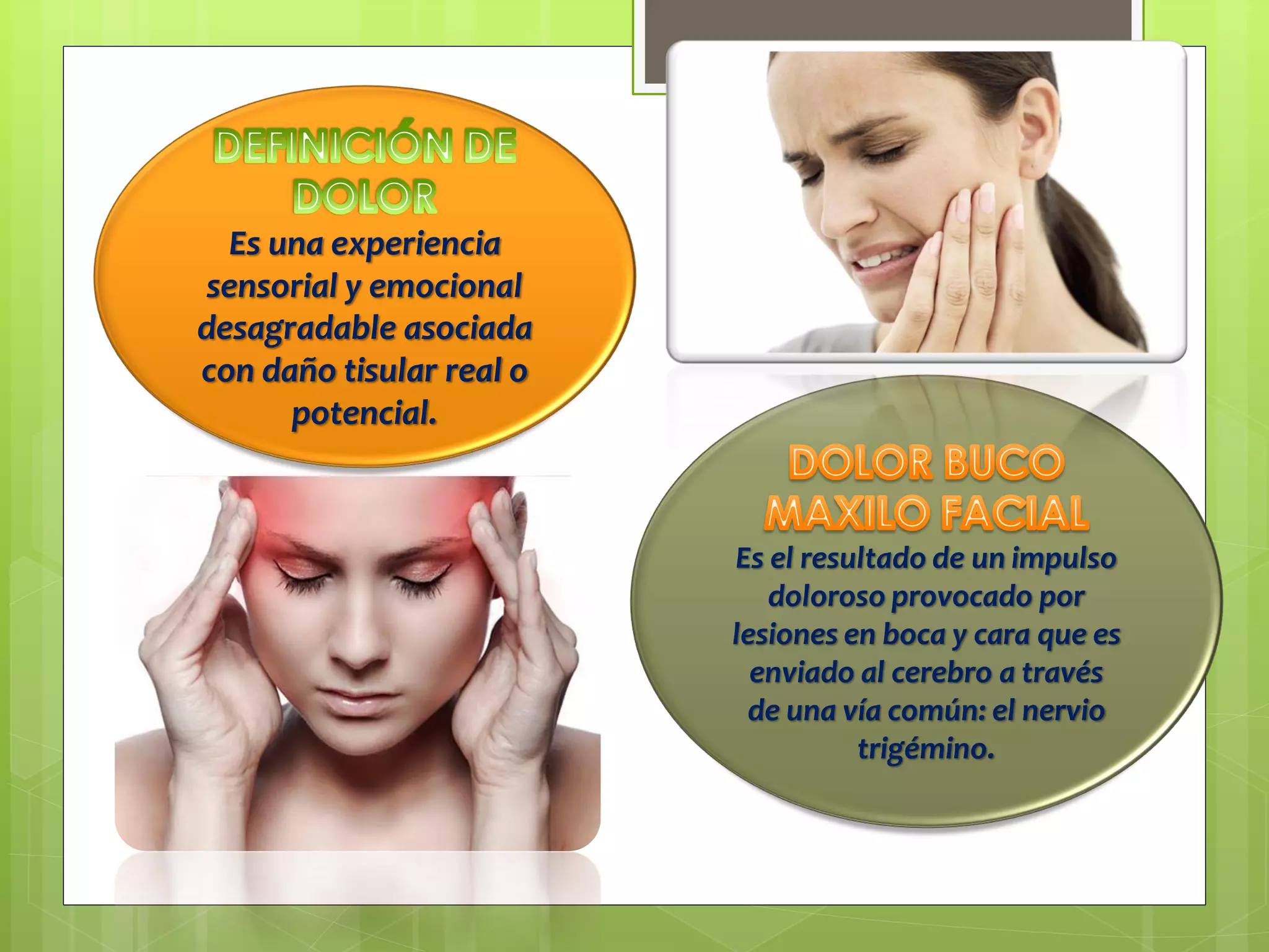 Dolor buco-maxilofacial-Grupo Nº01 | PDF