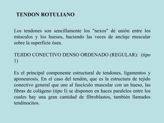 DOLOR ANTERIOR DE RODILLA.ppt
