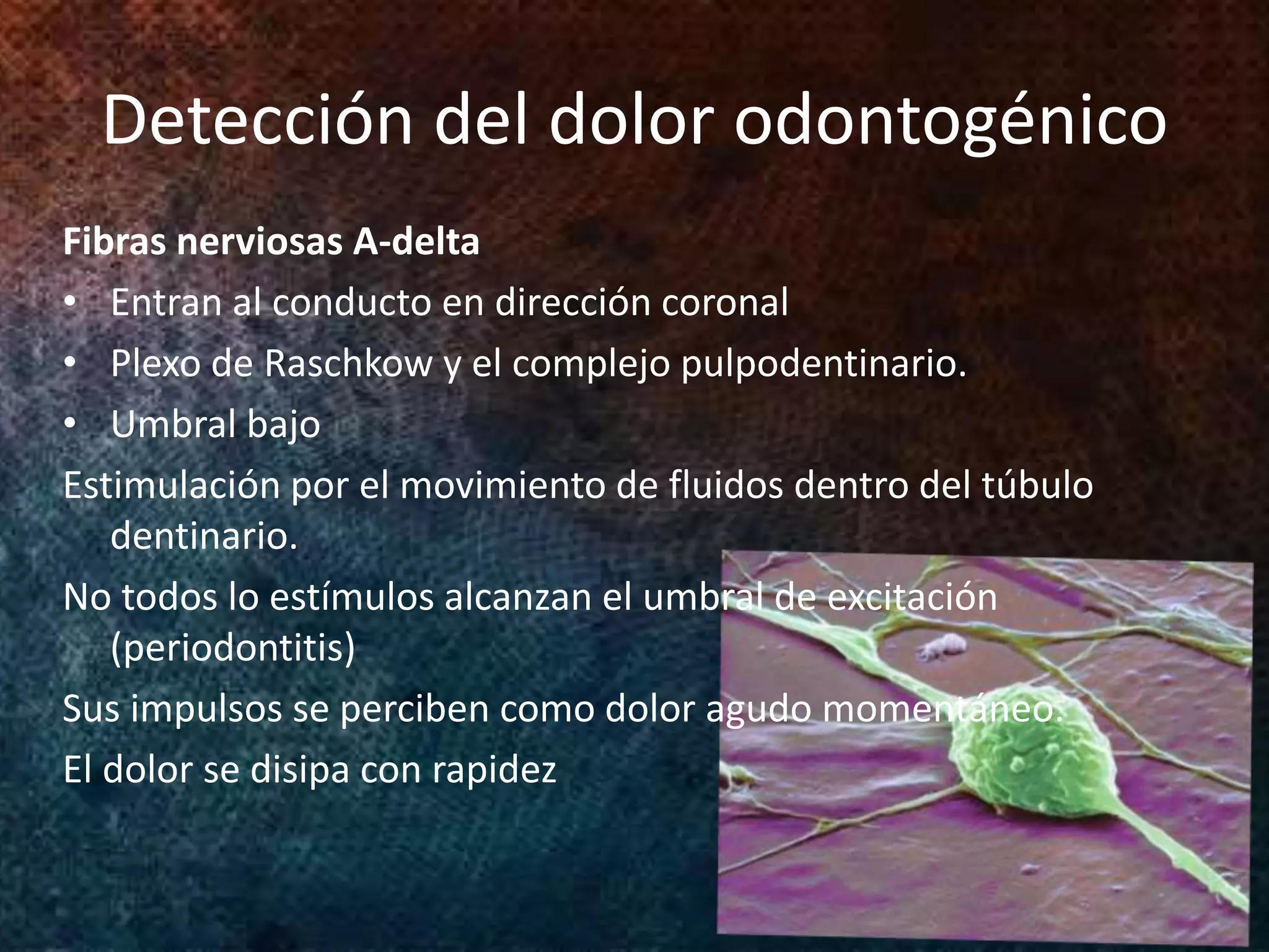 dolor de origen pulpar y periodontal.(4).pptx