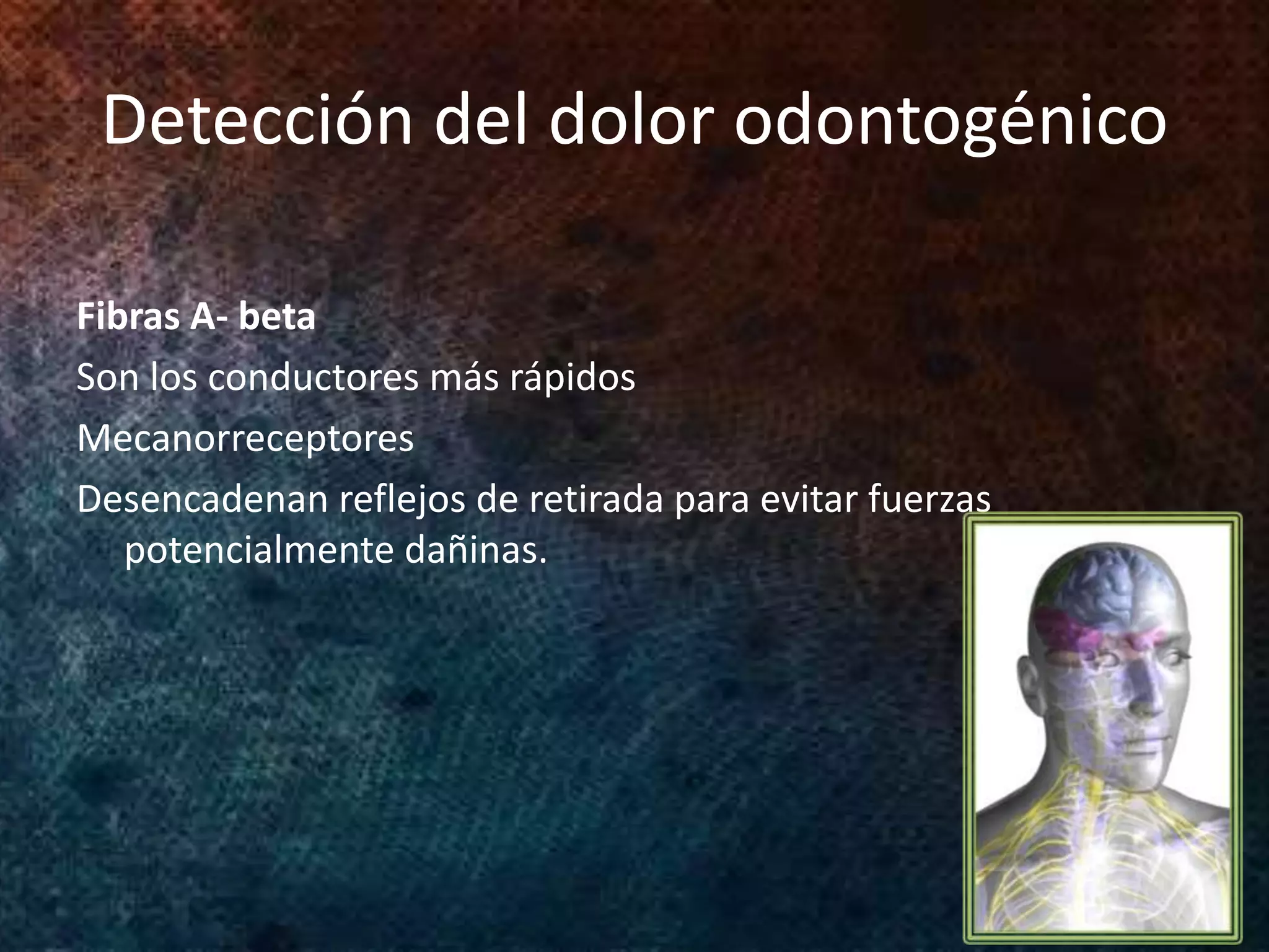 dolor de origen pulpar y periodontal.(4).pptx
