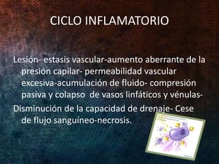 dolor de origen pulpar y periodontal.(4).pptx