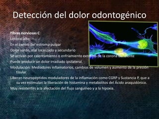 dolor de origen pulpar y periodontal.(4).pptx