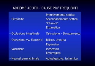 Dolore Addome Acuto | PPT
