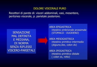 Dolore Addome Acuto | PPT