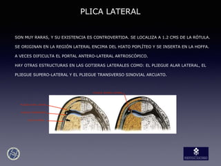 DOLOR EN LA CARA ANTERIOR DE LA RODILLA | PPTX