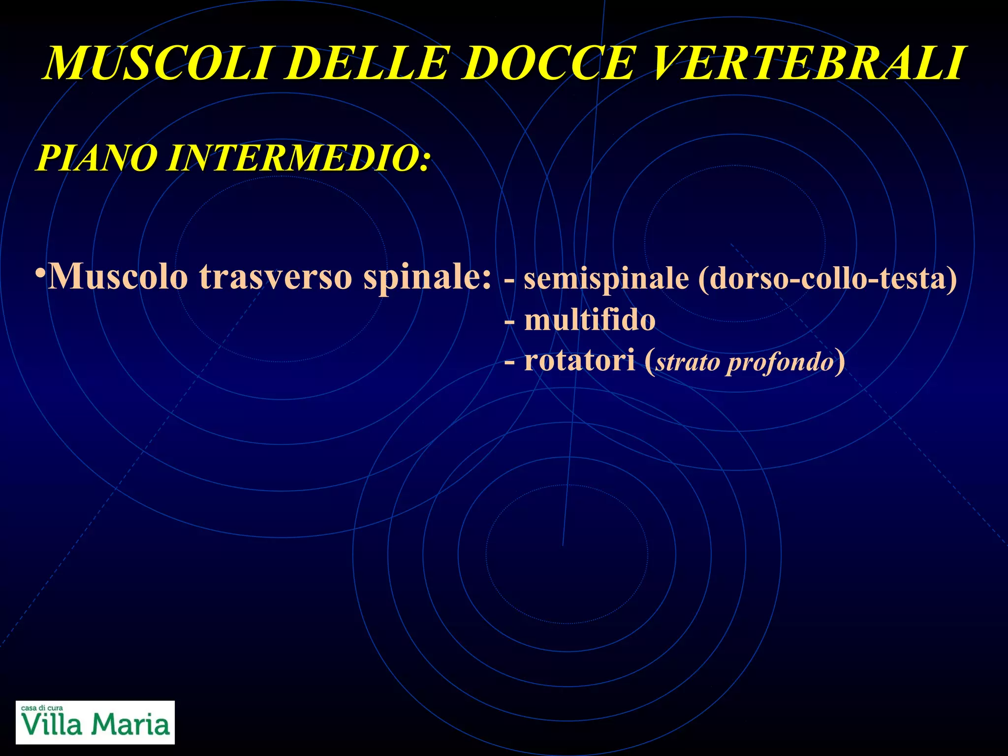 DOLORE VERTEBRALE | PPT