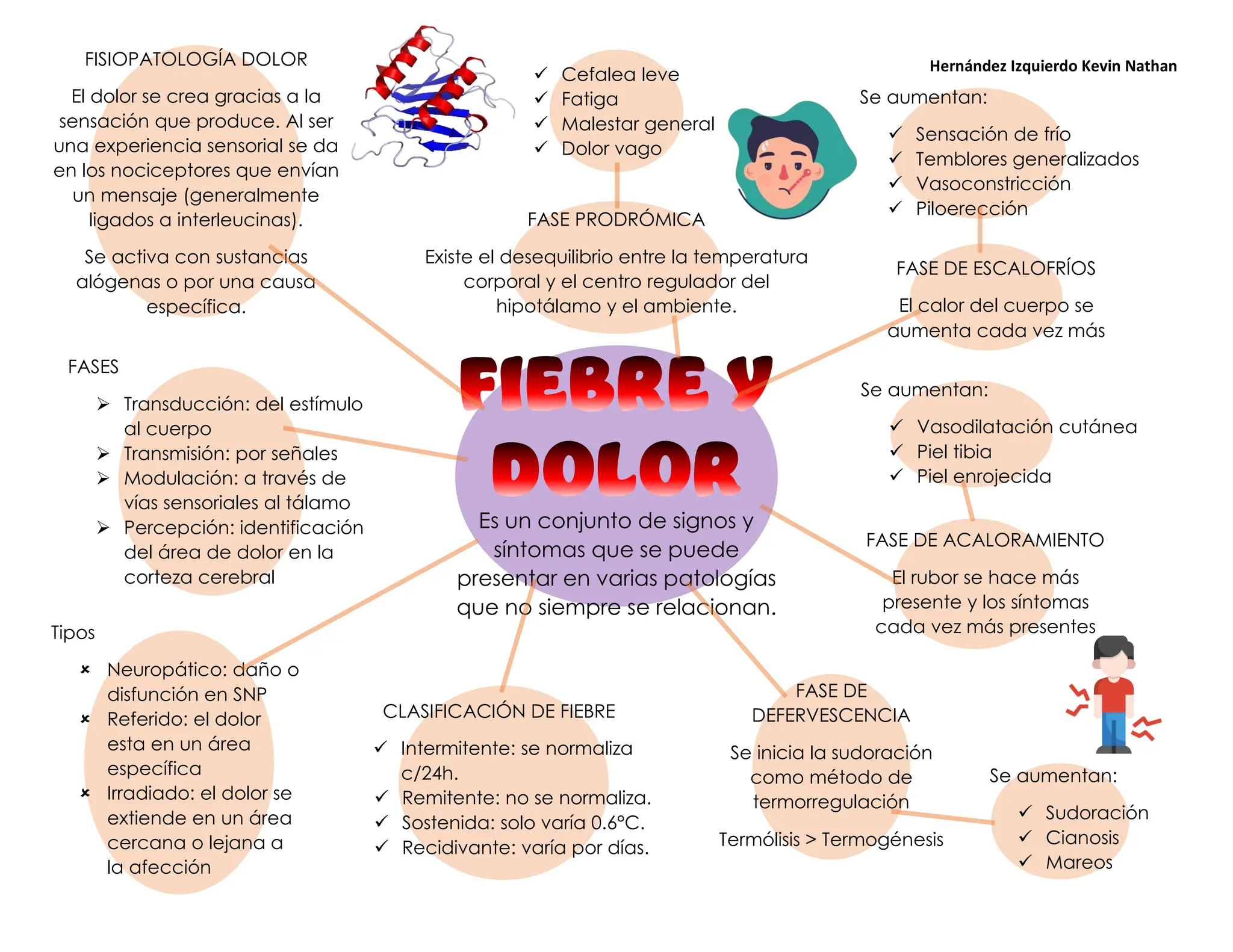 Dolor, Fiebre e Inflamación mapas conceptuales | PDF