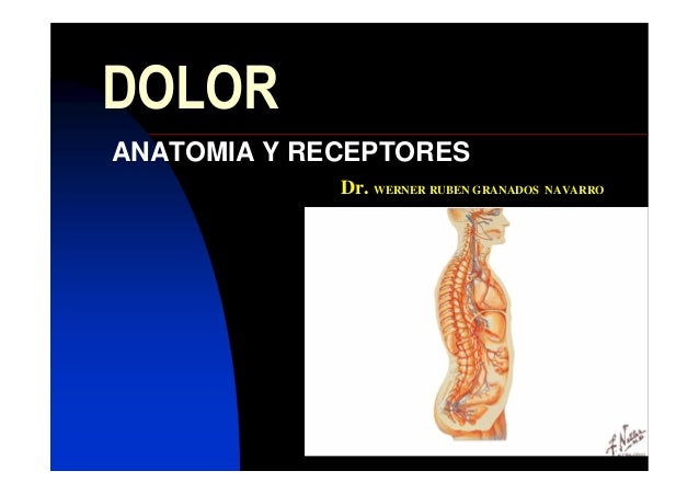 Fisiologia Del Dolor