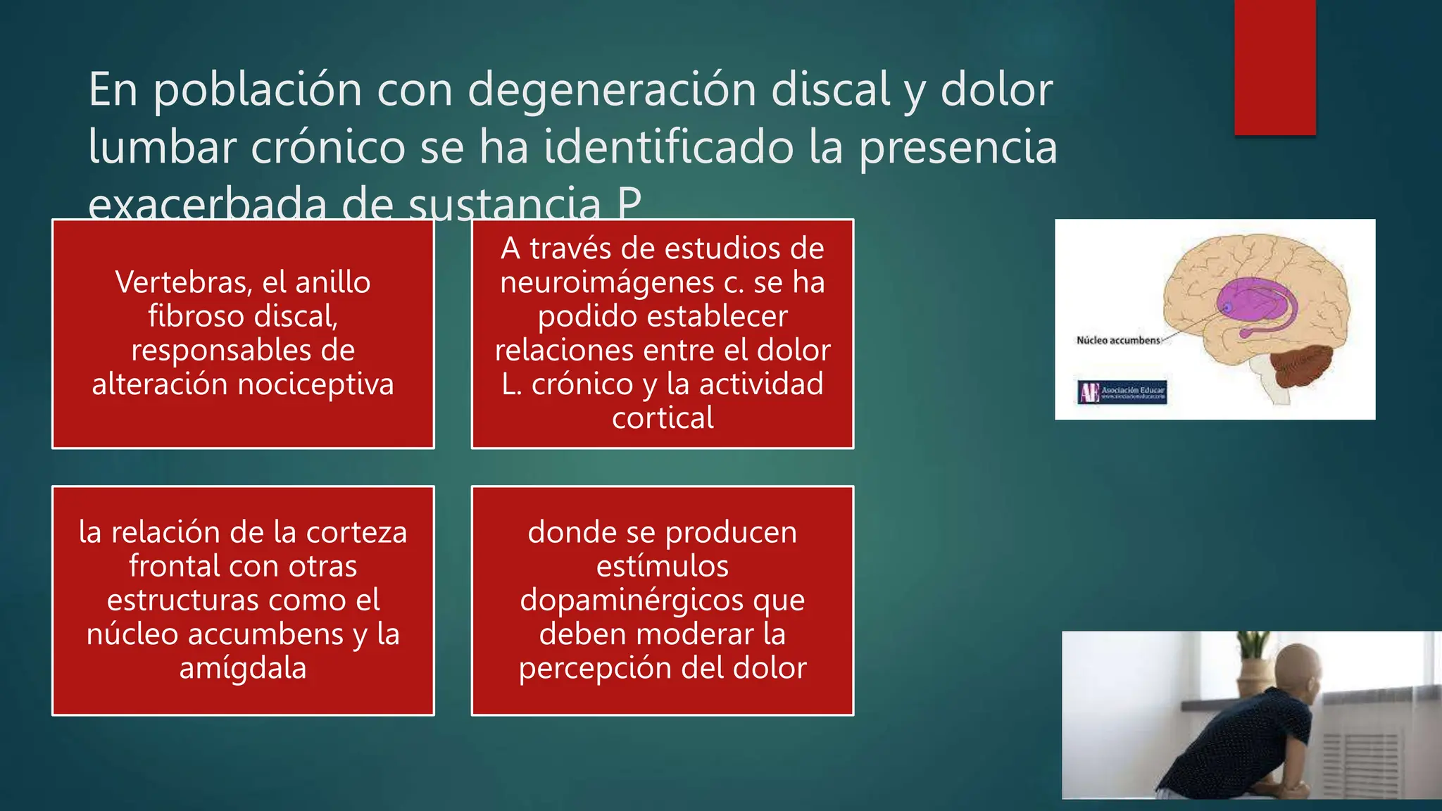DOLOR LUMBAR Y EJERCICIOS DE WILLIAMS (2).pptx