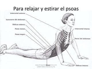 Dolor originado en el músculo psoas iliaco | PPSX