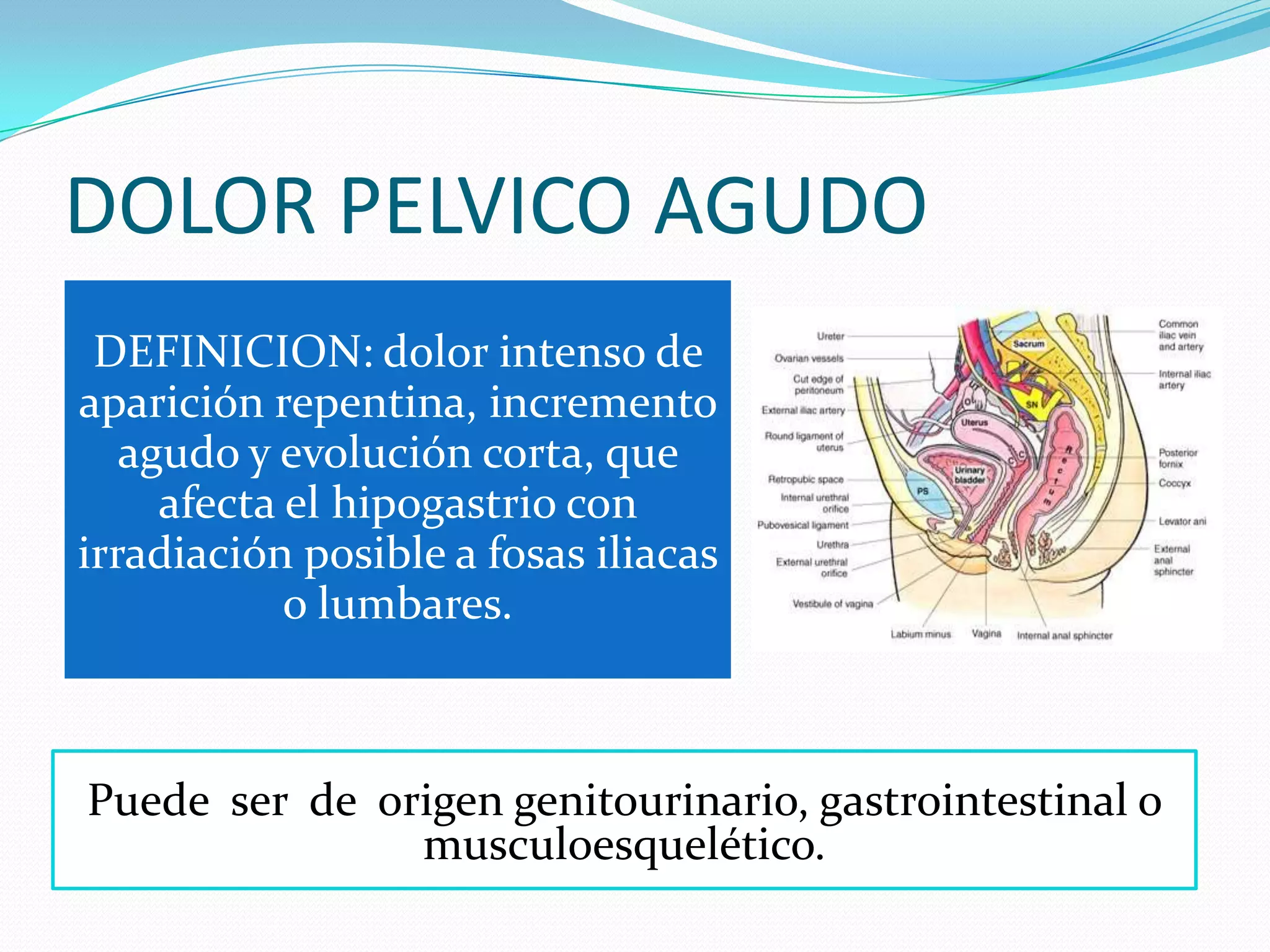Dolor pelvico agudo | PPTX