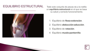 TOGA TERAPEUTICO. Modulo para Dolores de Rodilla | PPT