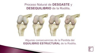 TOGA TERAPEUTICO. Modulo para Dolores de Rodilla | PPT