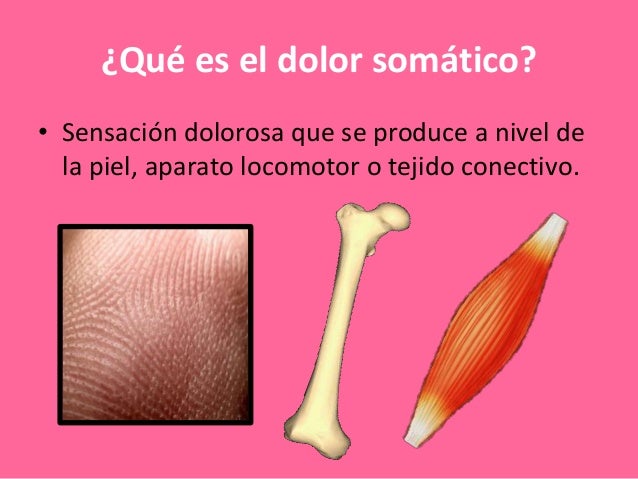 Dolor somático