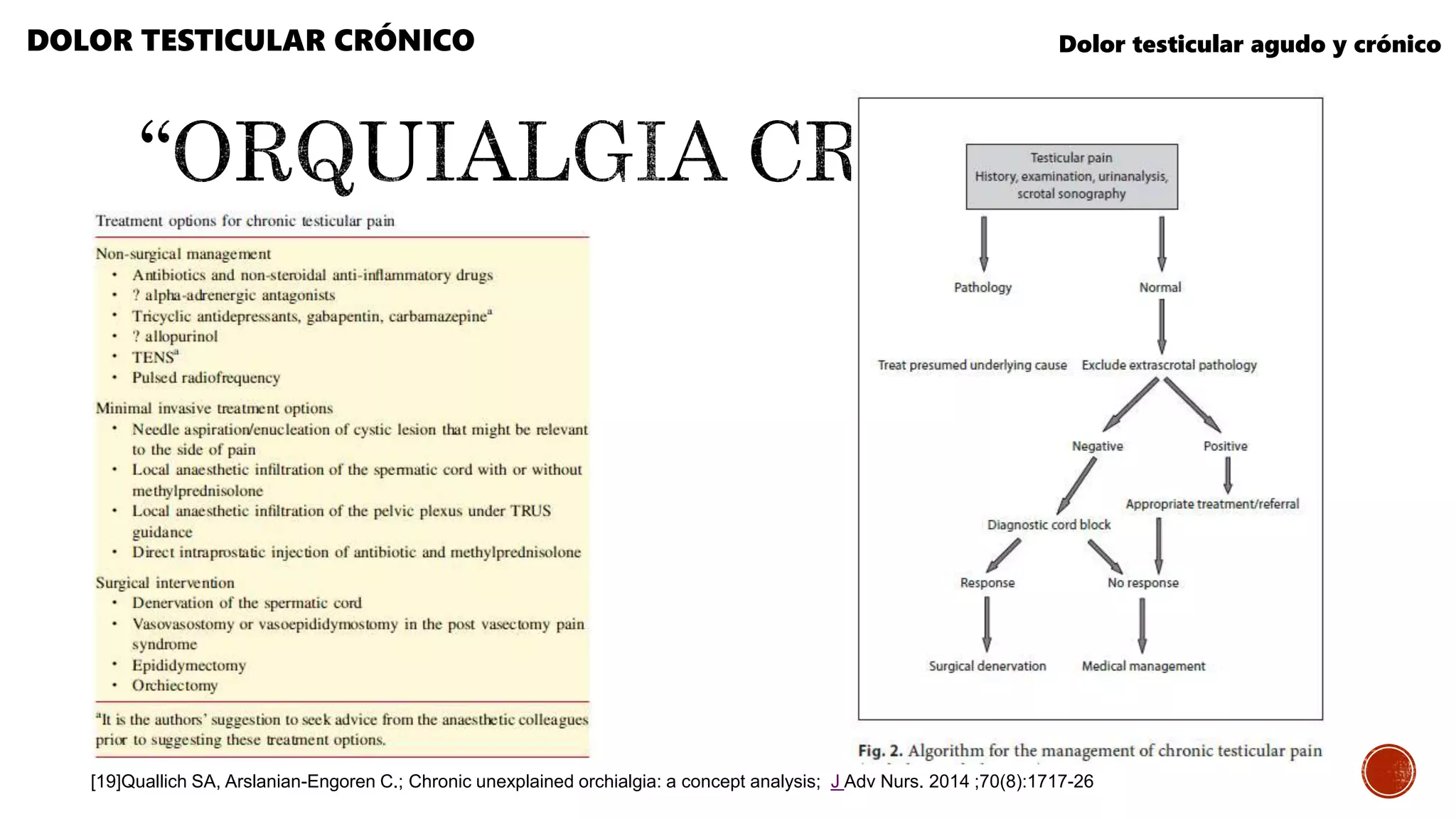 Dolor testicular agudo y crónico (Testicular Pain. Acute and Chronic ...