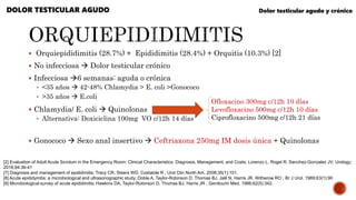 Dolor testicular agudo y crónico (Testicular Pain. Acute and Chronic ...