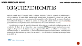 Dolor testicular agudo y crónico (Testicular Pain. Acute and Chronic ...