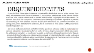 Dolor testicular agudo y crónico (Testicular Pain. Acute and Chronic ...