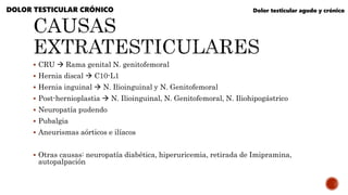 Dolor testicular agudo y crónico (Testicular Pain. Acute and Chronic ...