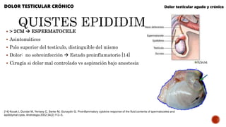 Dolor testicular agudo y crónico (Testicular Pain. Acute and Chronic ...