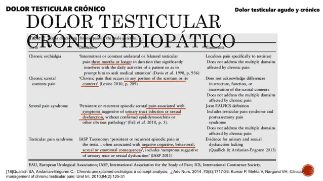 Dolor testicular agudo y crónico (Testicular Pain. Acute and Chronic ...
