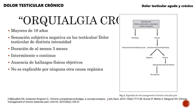 Dolor testicular agudo y crónico (Testicular Pain. Acute and Chronic ...