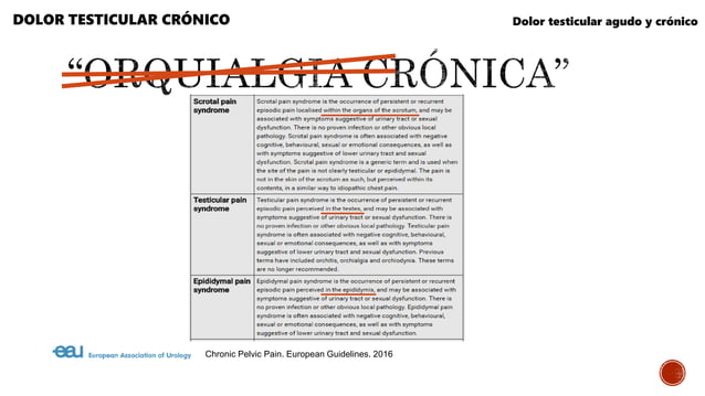 Dolor testicular agudo y crónico (Testicular Pain. Acute and Chronic ...