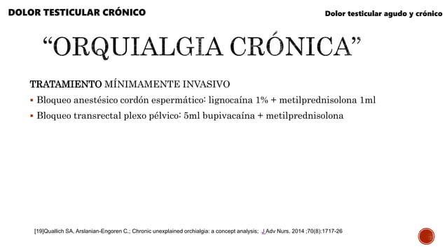Dolor testicular agudo y crónico (Testicular Pain. Acute and Chronic ...