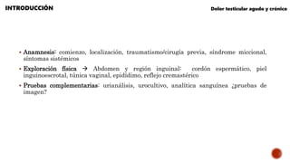 Dolor testicular agudo y crónico (Testicular Pain. Acute and Chronic ...